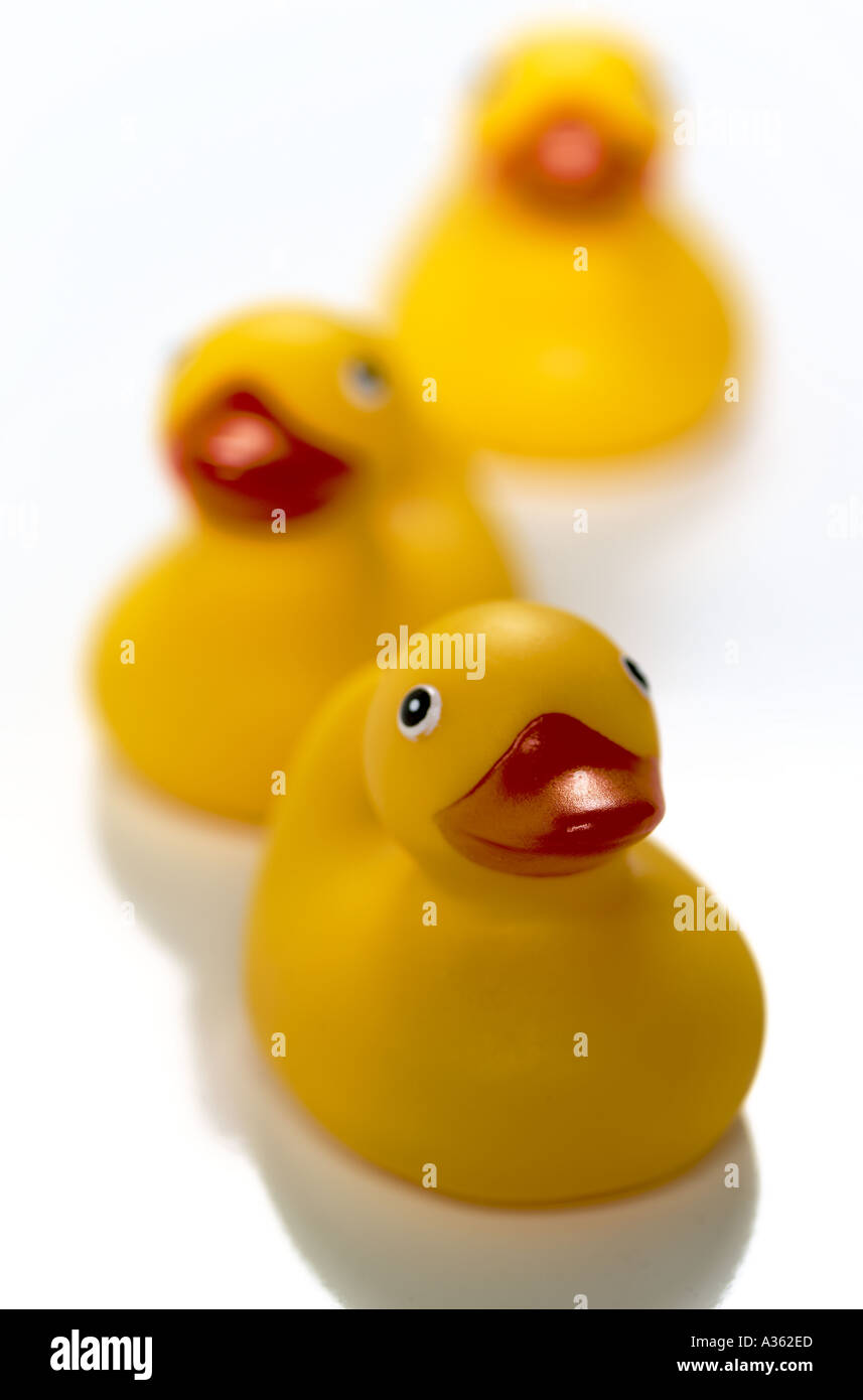 Baby ducks row hi-res stock photography and images - Alamy
