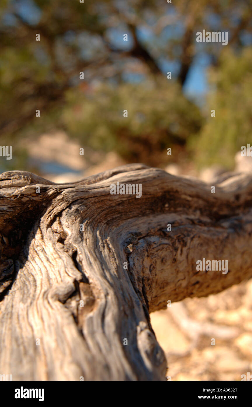 Drft hi-res stock photography and images - Alamy