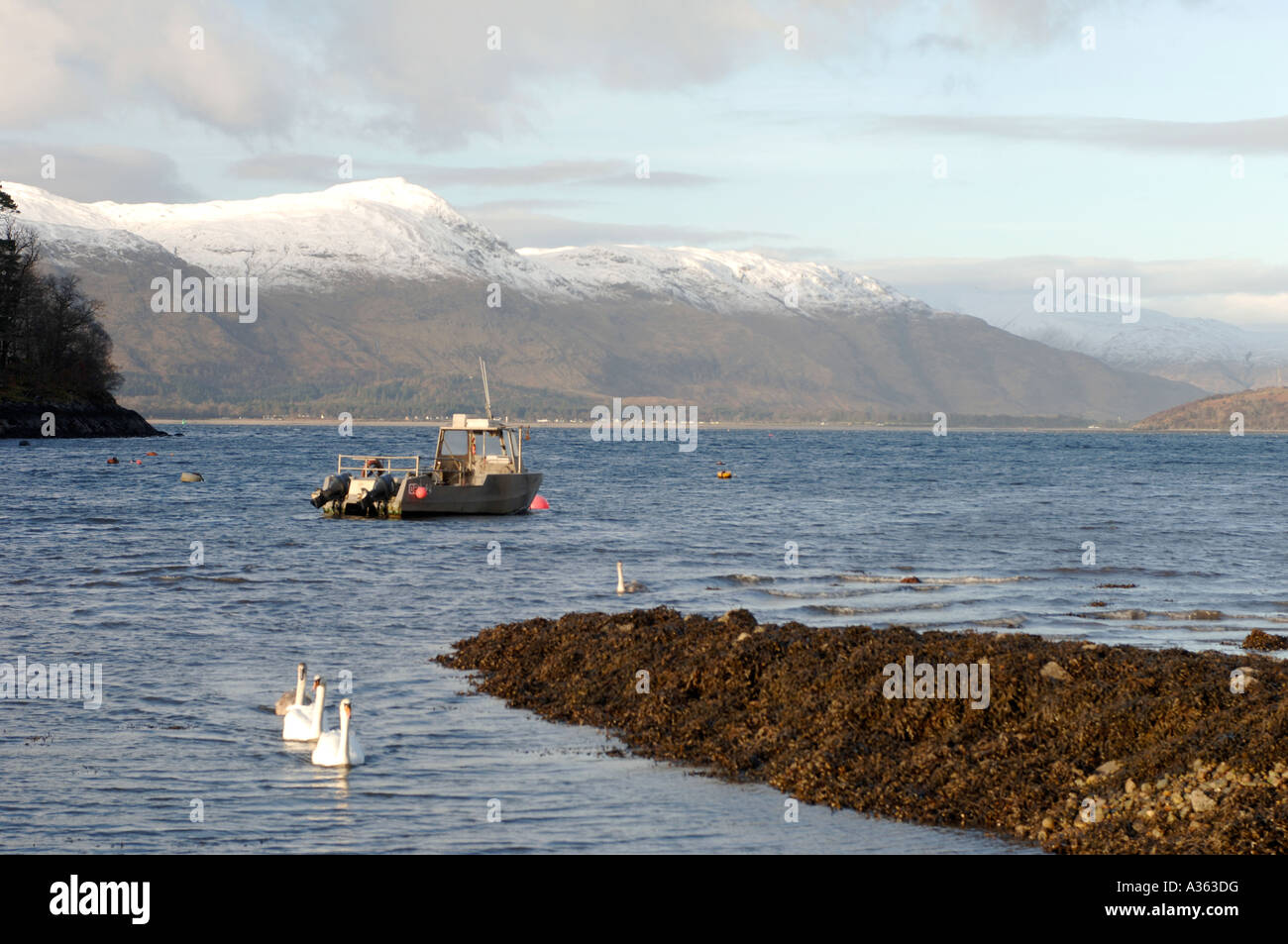 Kentallen is a joy hi-res stock photography and images - Alamy