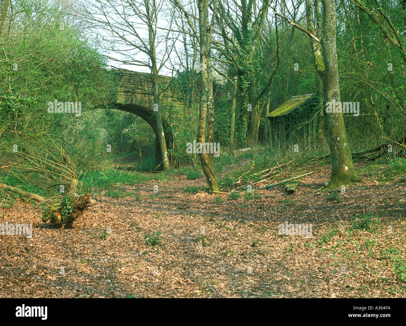Railway track railway bridge hi-res stock photography and images - Alamy