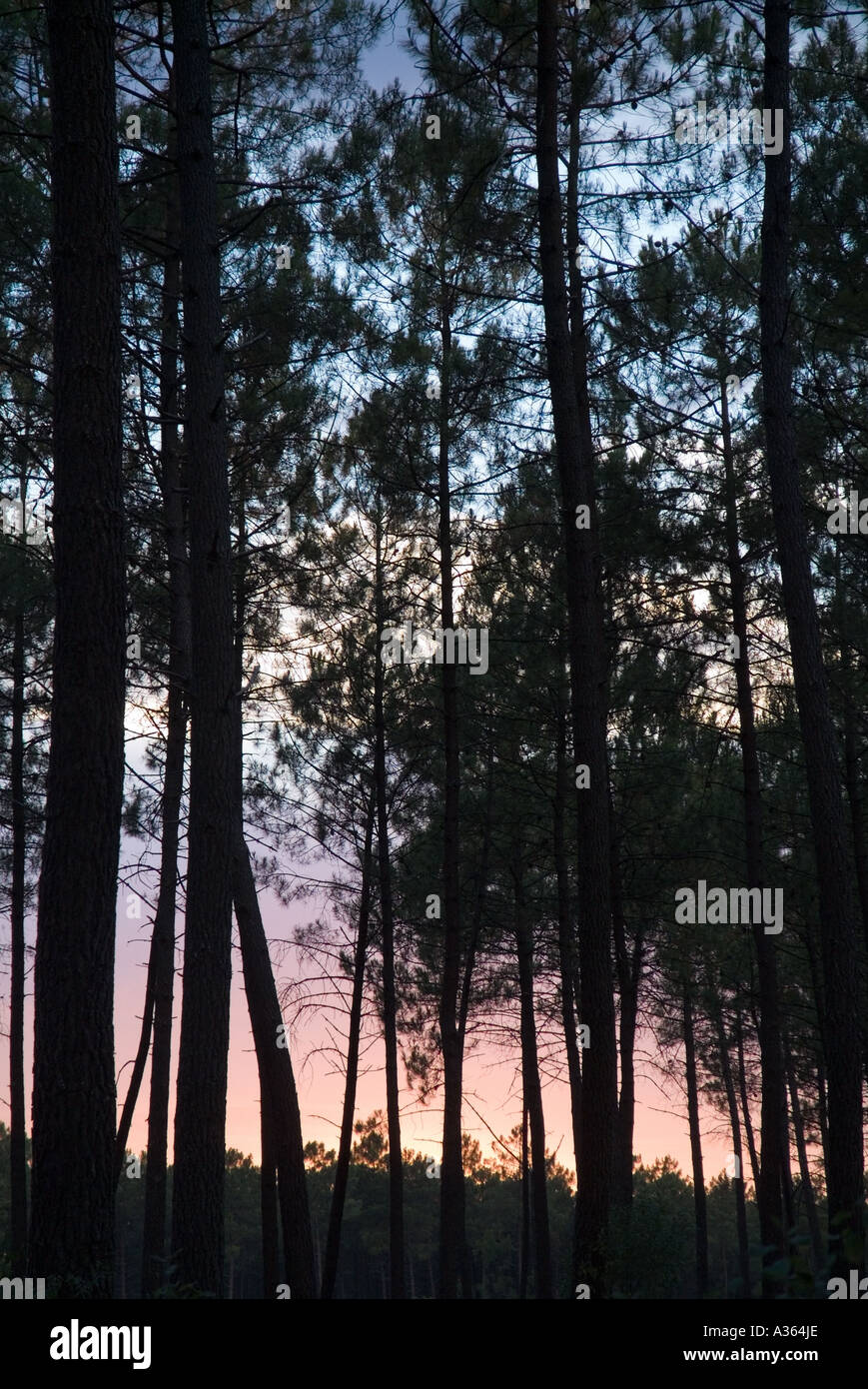 Lan0653 hi-res stock photography and images - Alamy