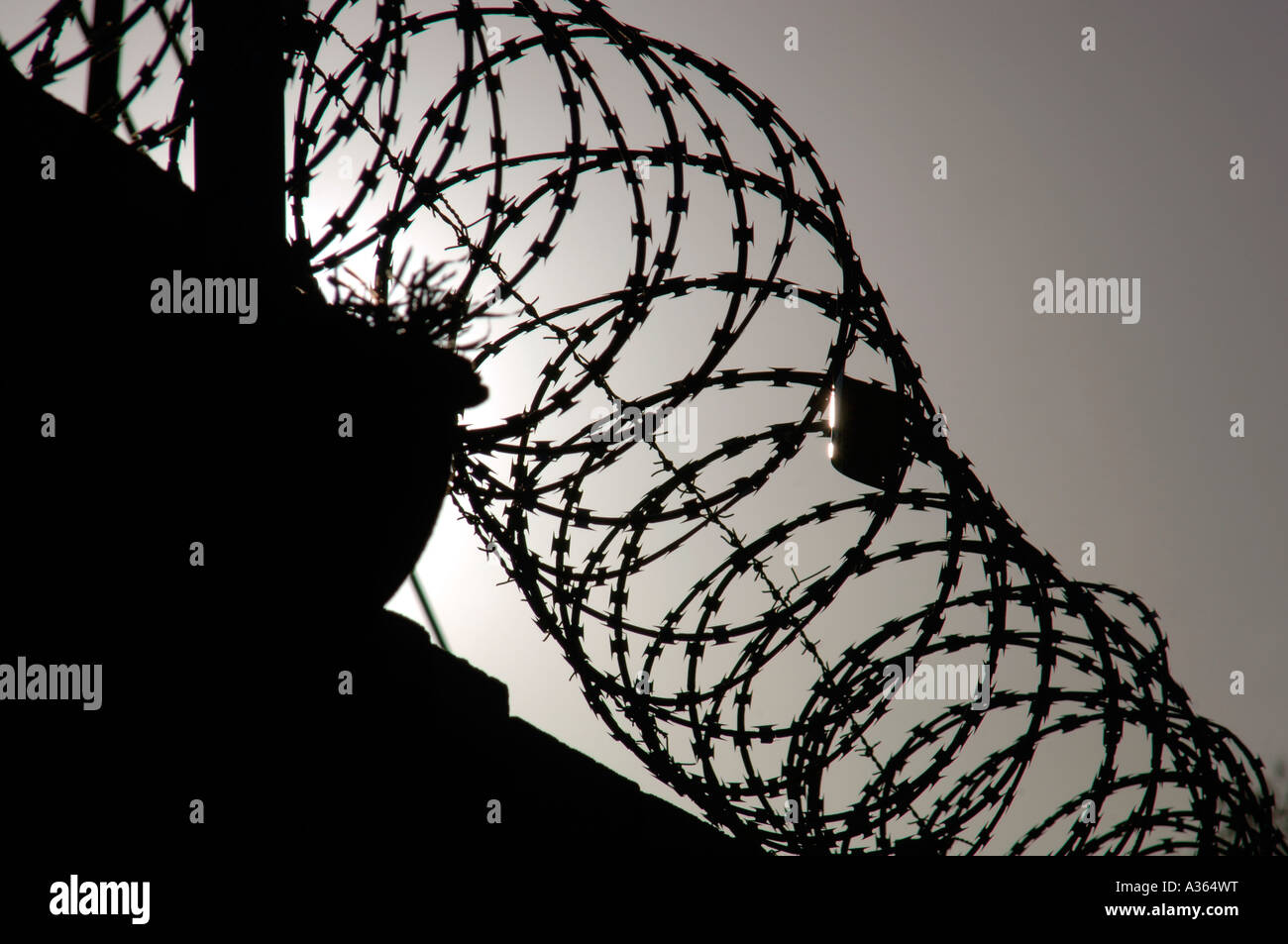 Silhouetted Image Of Razor Barbed Wire,Used As A Security Deterrent ...