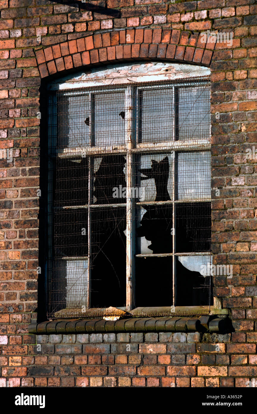 Broken Windows Of A Derelict Factory Stock Photo - Alamy