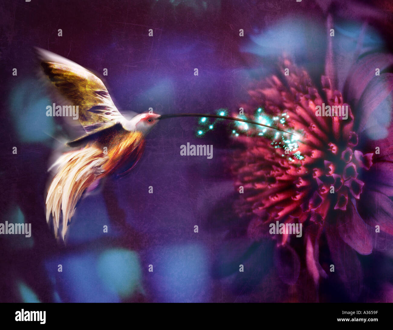 Humming hi-res stock photography and images - Alamy