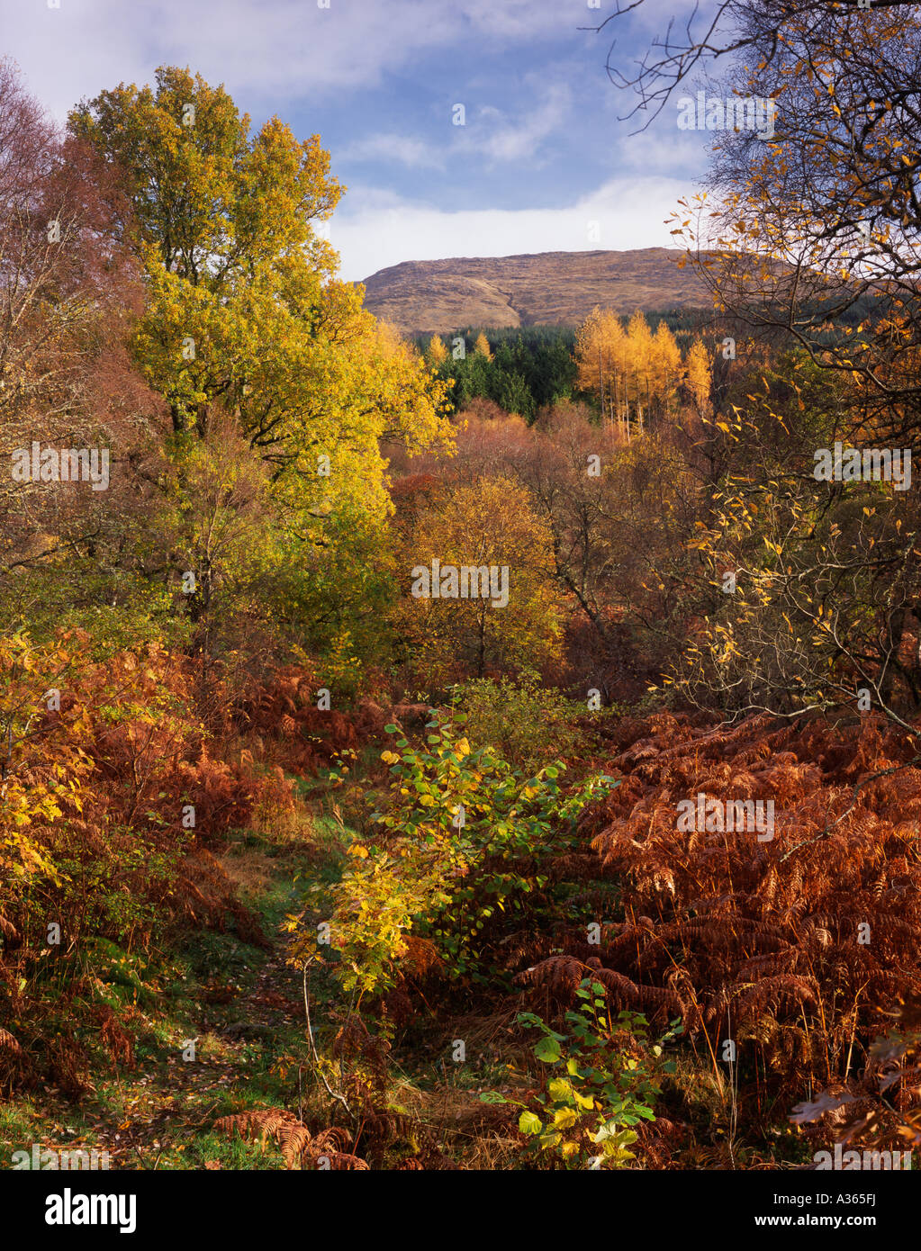 Inverawe hi-res stock photography and images - Alamy