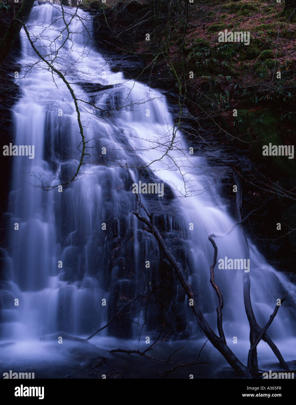 Waterfall, Glendaruel, Cowal Stock Photo - Alamy