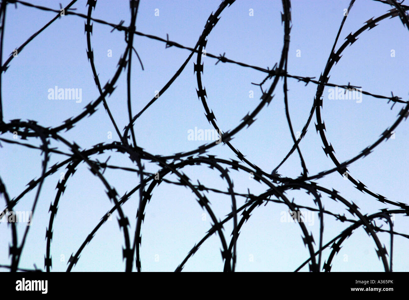 Razor Barbed Wire Fencing Stock Photo - Alamy
