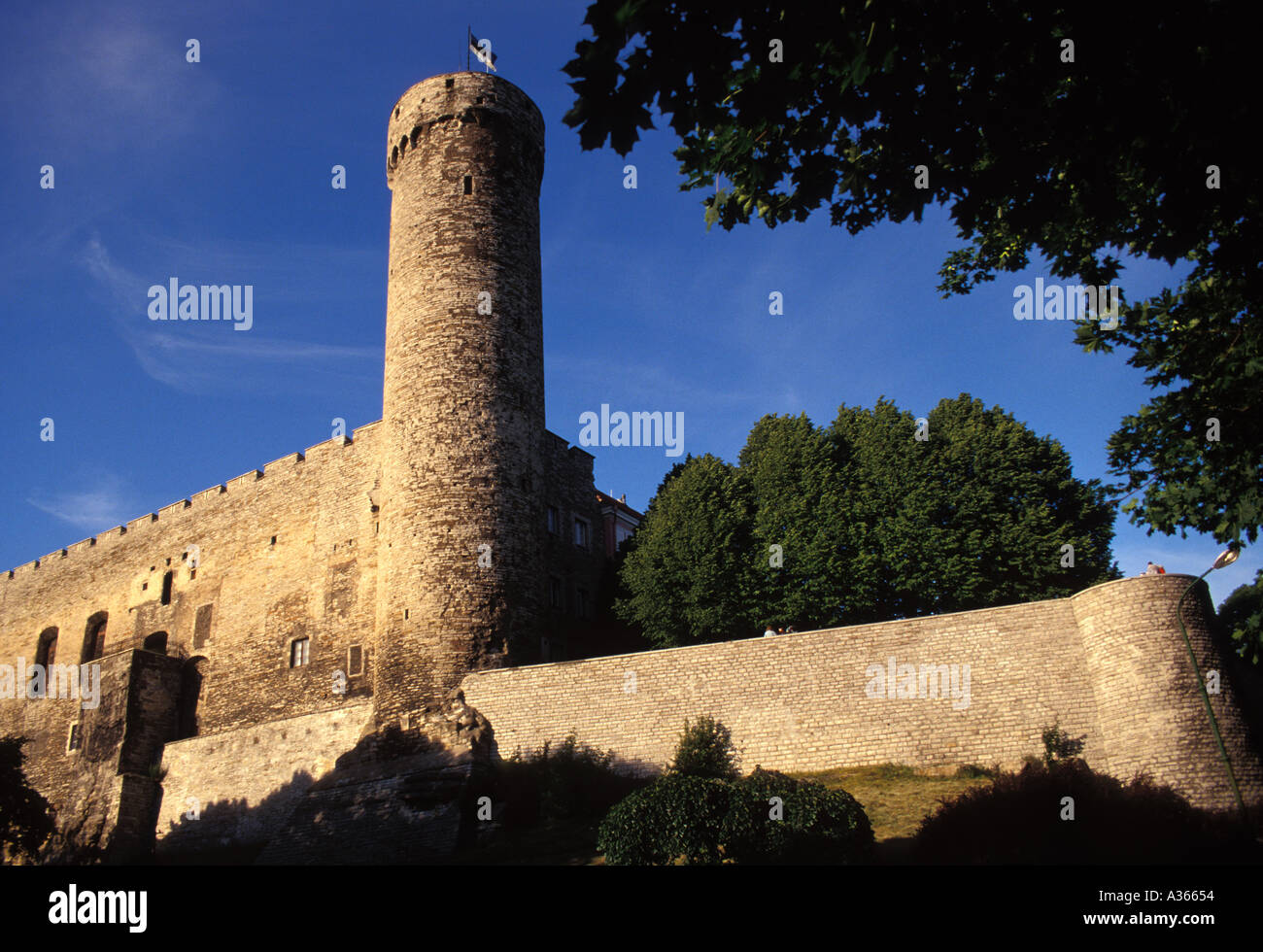 Estonia Tallinn Tall Hermann Tower Tompea Castle 13th century parlement ...