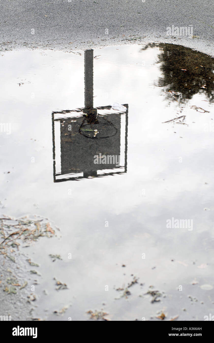 Reflection of basketball hoop in puddle Stock Photo - Alamy