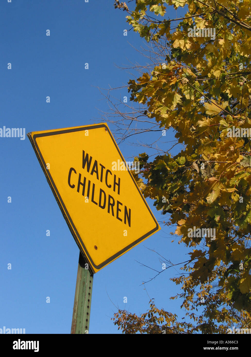 Stop watch to watch vertical hi-res stock photography and images - Alamy