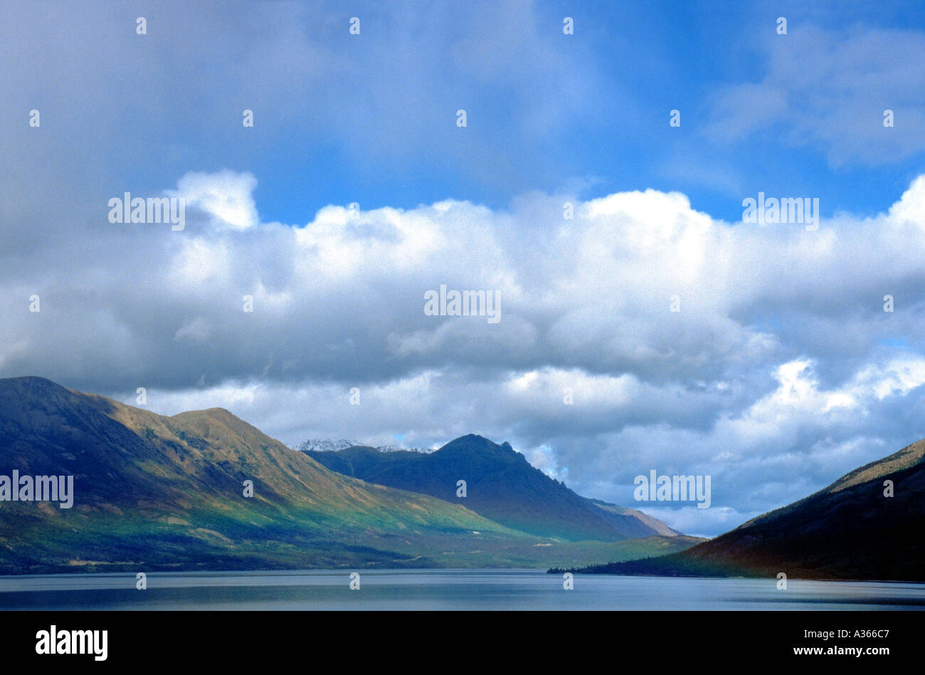 Tutshi lake hi-res stock photography and images - Alamy