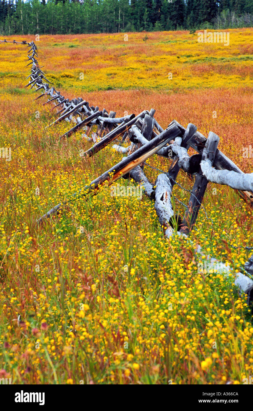 Rural fence Haines Junction Yukon Territory Canada Stock Photo - Alamy