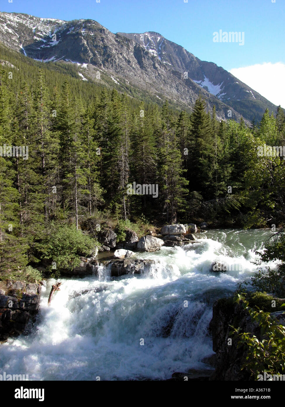 Cameron Creek Waterton Lakes National Park Alberta Canada Stock Photo ...