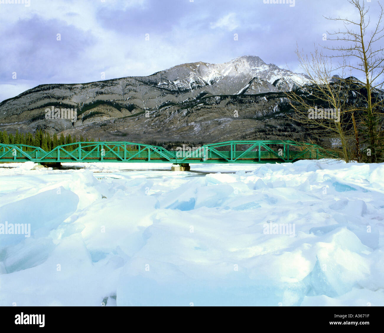 The frozen Snaring River with green bridge Jasper National Park Alberta ...