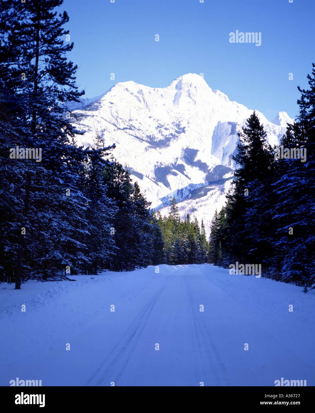 Snaring River Road in winter Jasper National Park Alberta Canada Stock ...