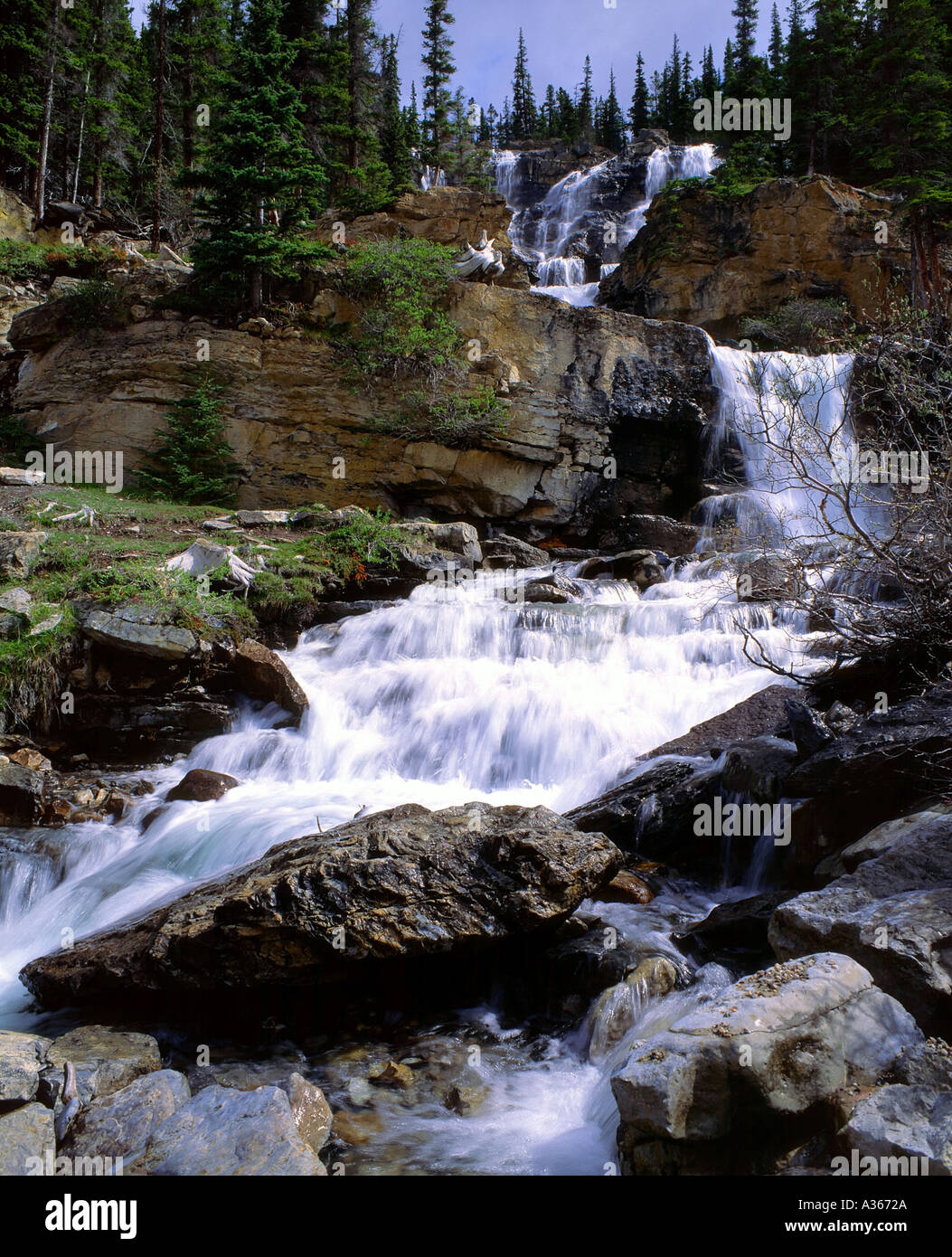 Tangle Falls Jasper National Park Alberta Canada Stock Photo - Alamy