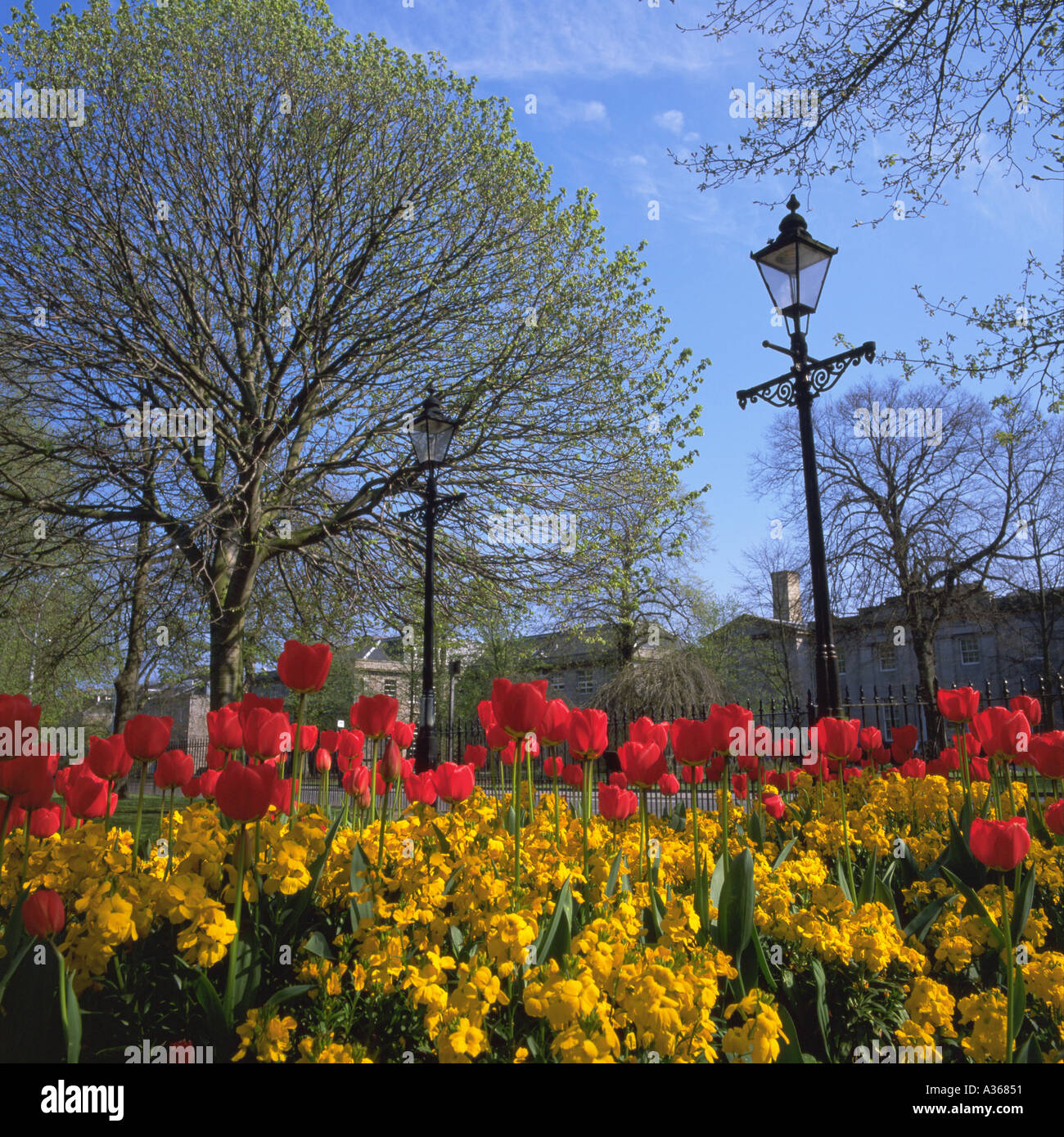 Queens Terrace Gardens in Spring, Aberdeen, Scotland Stock Photo - Alamy