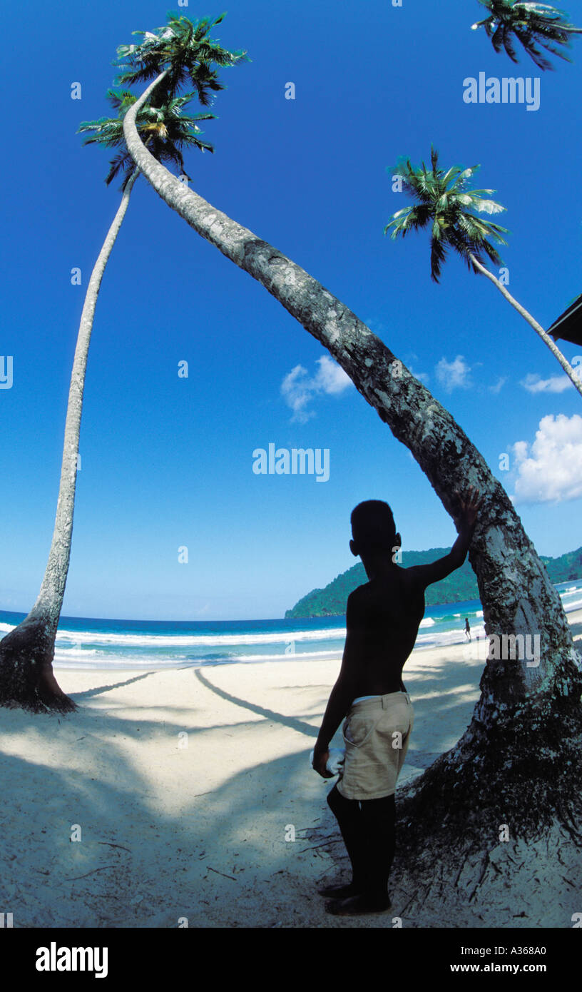 A young black boy stands next to a tall palm tree arching upward into a ...