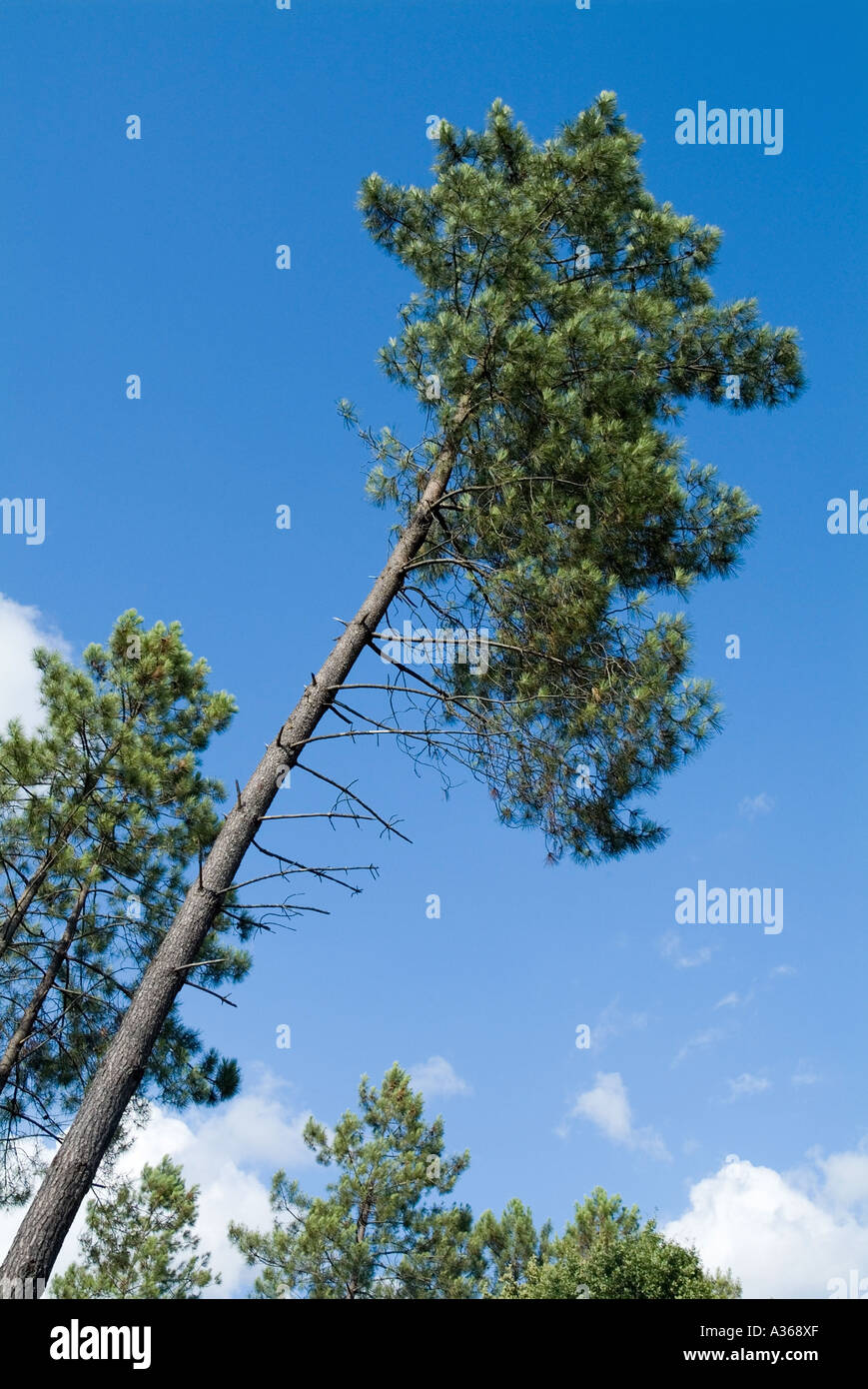 Lan0734 hi-res stock photography and images - Alamy