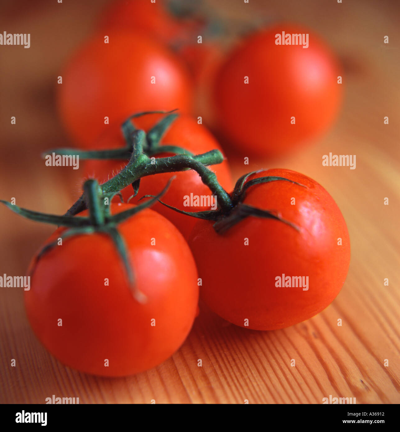 Baby tomato on vine hi-res stock photography and images - Alamy
