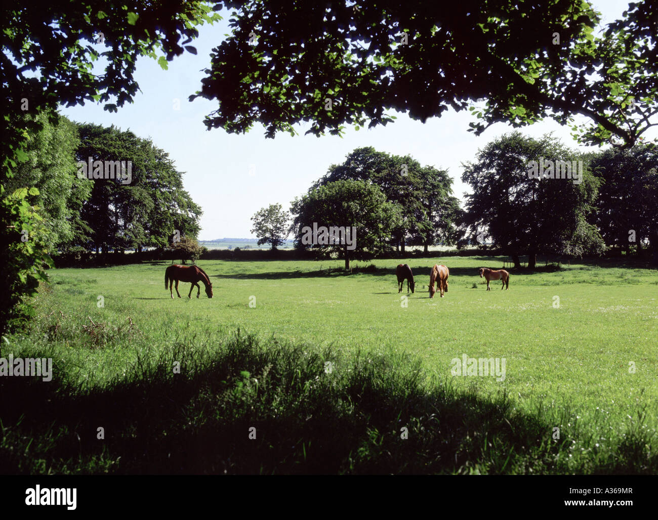 ENGLISH COUNTRYSIDE. ENGLAND. UK Stock Photo - Alamy