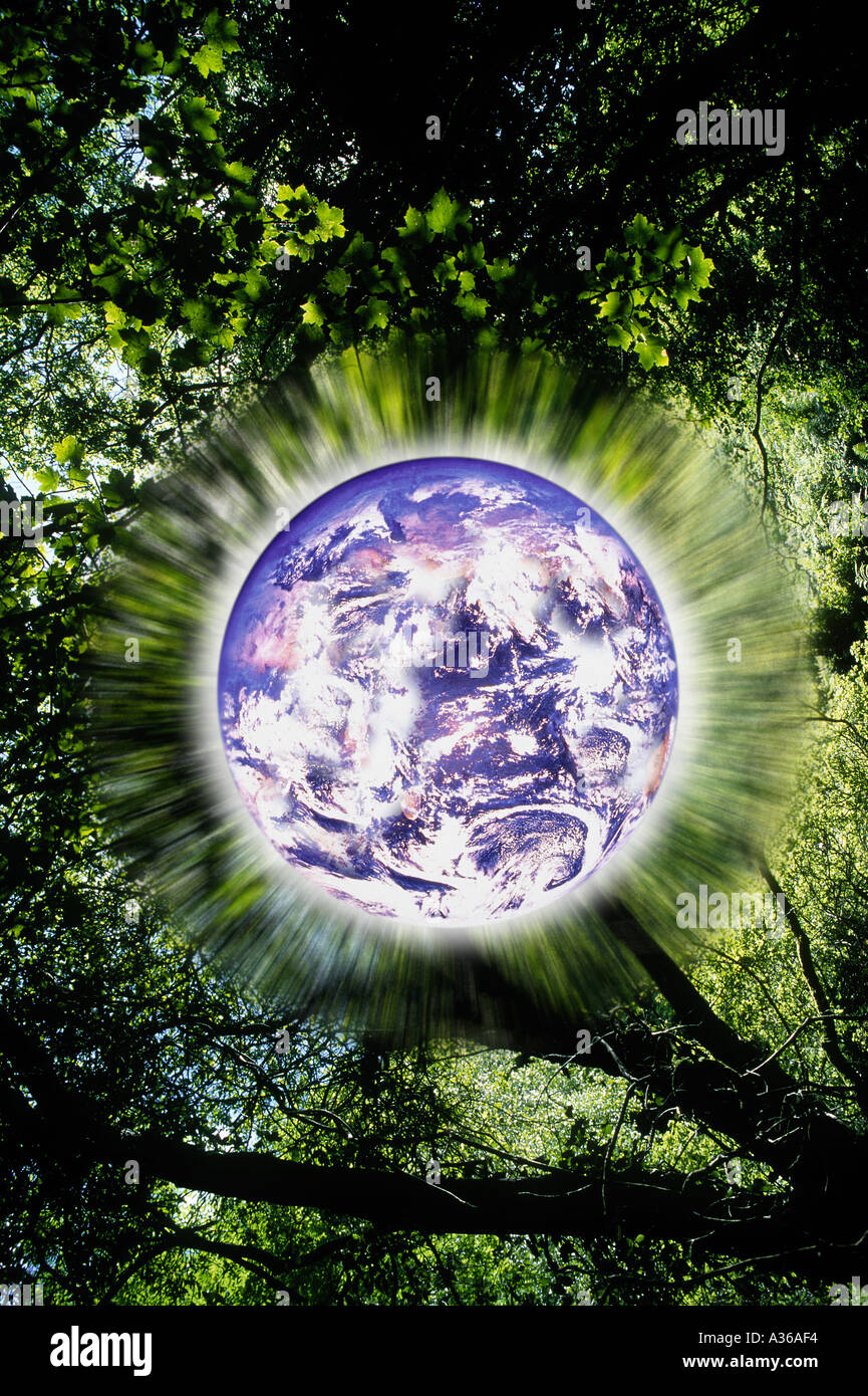 Earth with forest background Stock Photo - Alamy