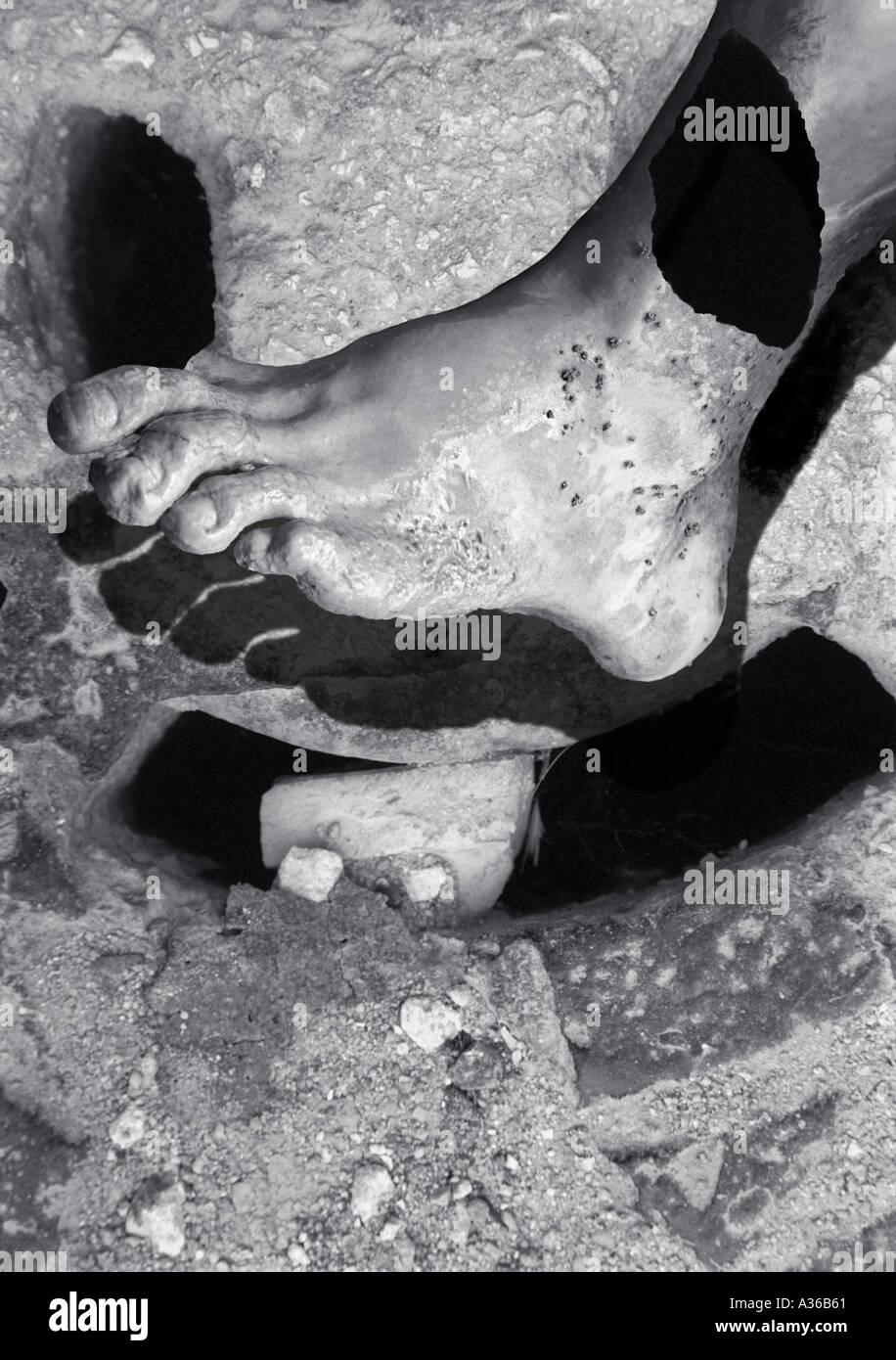 Leg impression hi-res stock photography and images - Alamy