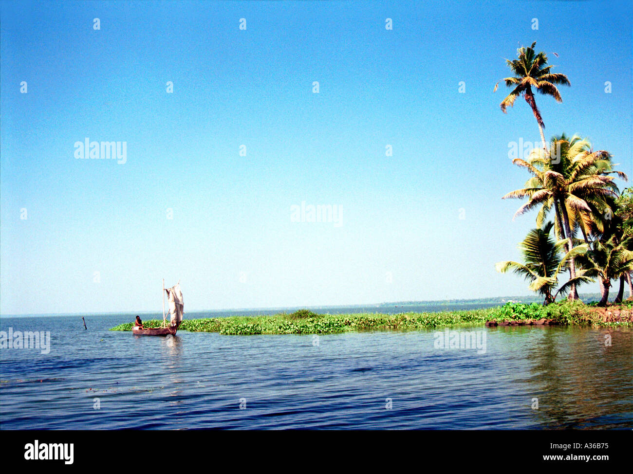 a scenic view of backwaters of Kerala Stock Photo - Alamy