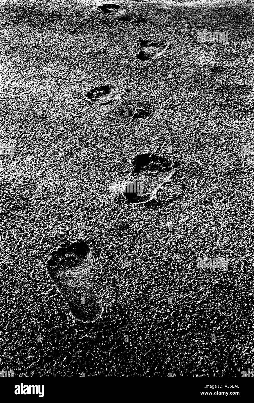 Steps pathway Black and White Stock Photos & Images - Alamy