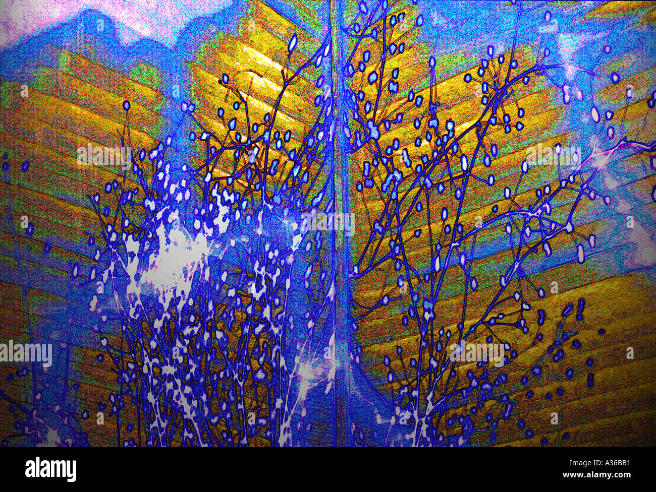 Scintillating color hi-res stock photography and images - Alamy