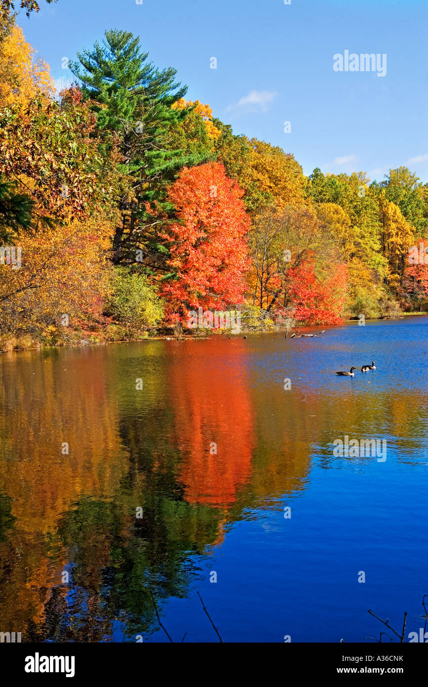 BEAR MOUNTAIN, NEW YORK STATE, FALL FOLIAGE Stock Photo - Alamy