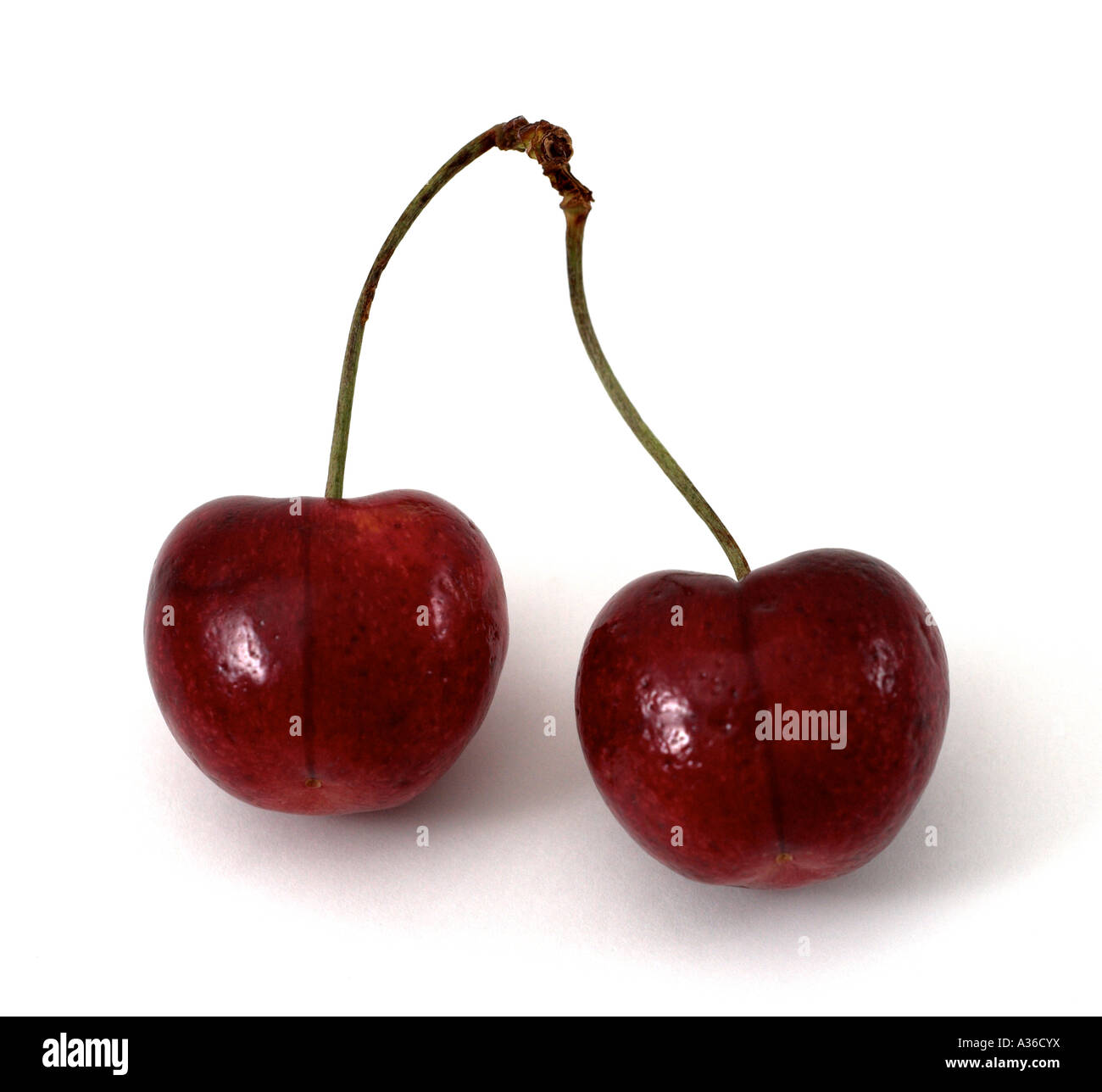 A pair of cherries Stock Photo - Alamy