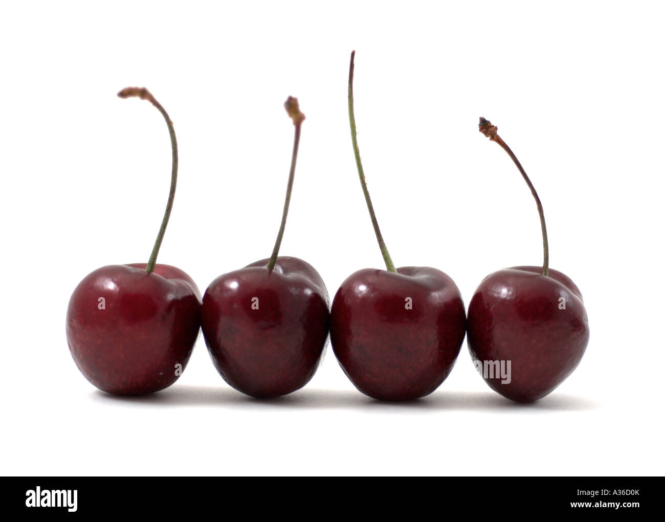 jackpot prize 4 Cherries In a Row Concept Stock Photo - Alamy