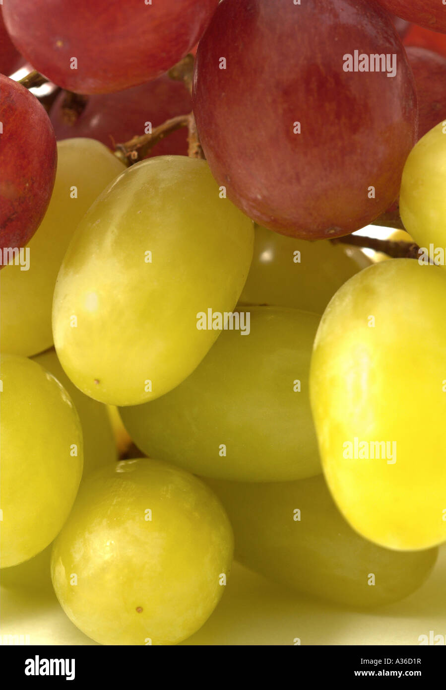 Red and White Grapes Stock Photo - Alamy