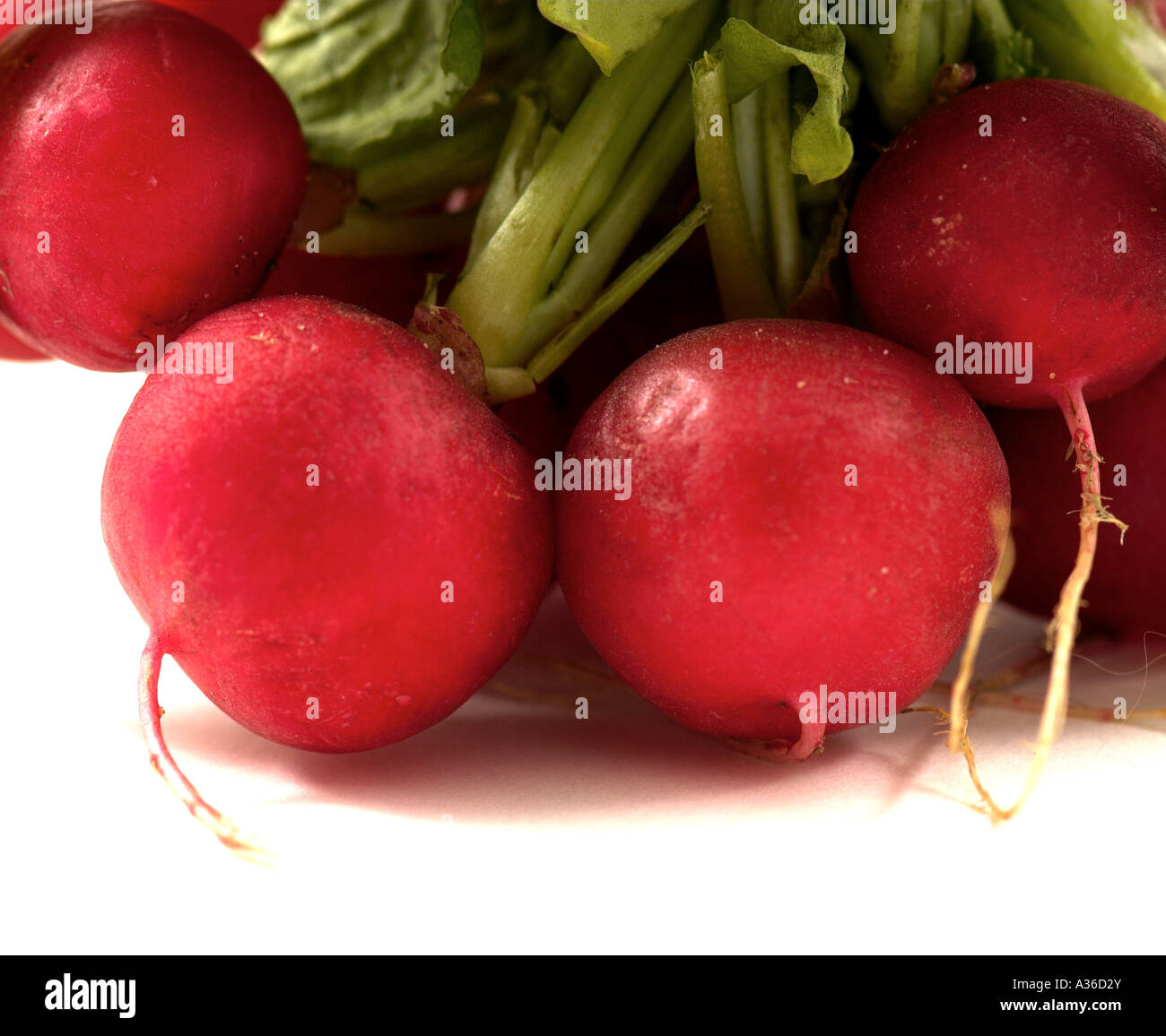 Radish radishes vegetable food hi-res stock photography and images - Alamy