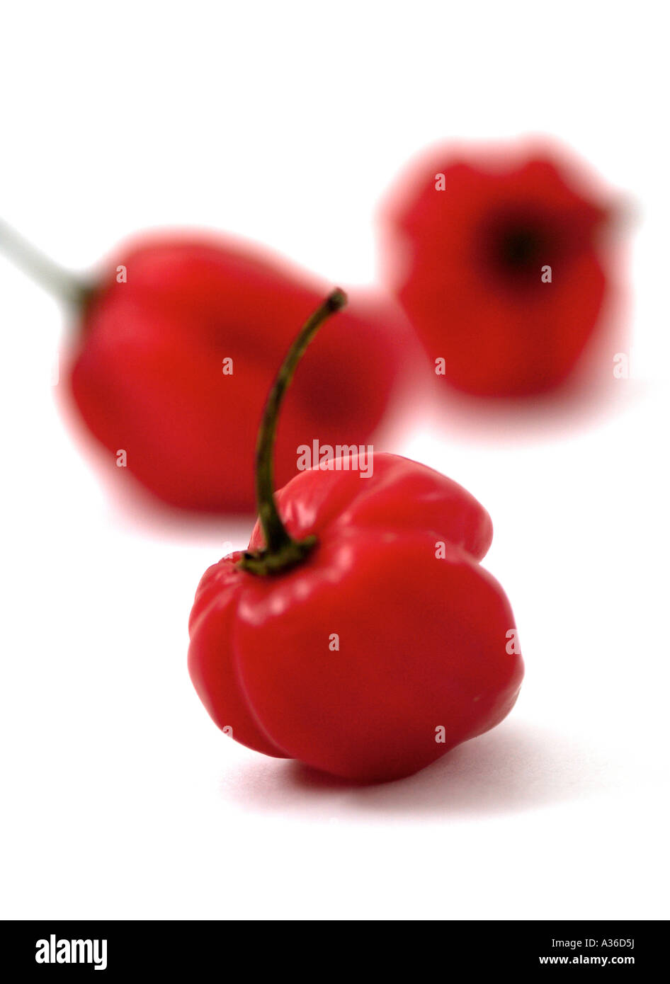 Scotch Bonnet Chilli Peppers Stock Photo - Alamy