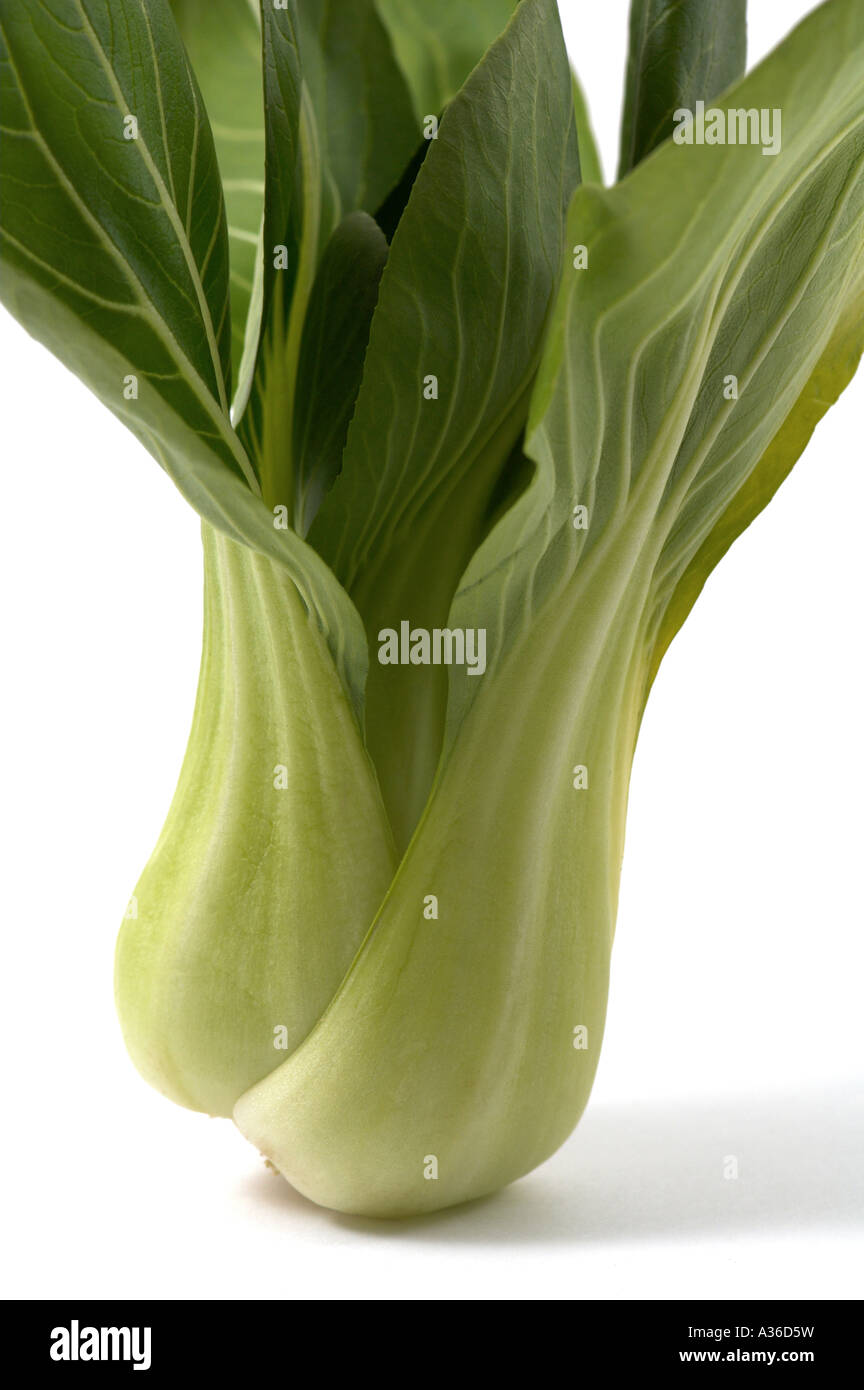 Food pak hi-res stock photography and images - Alamy