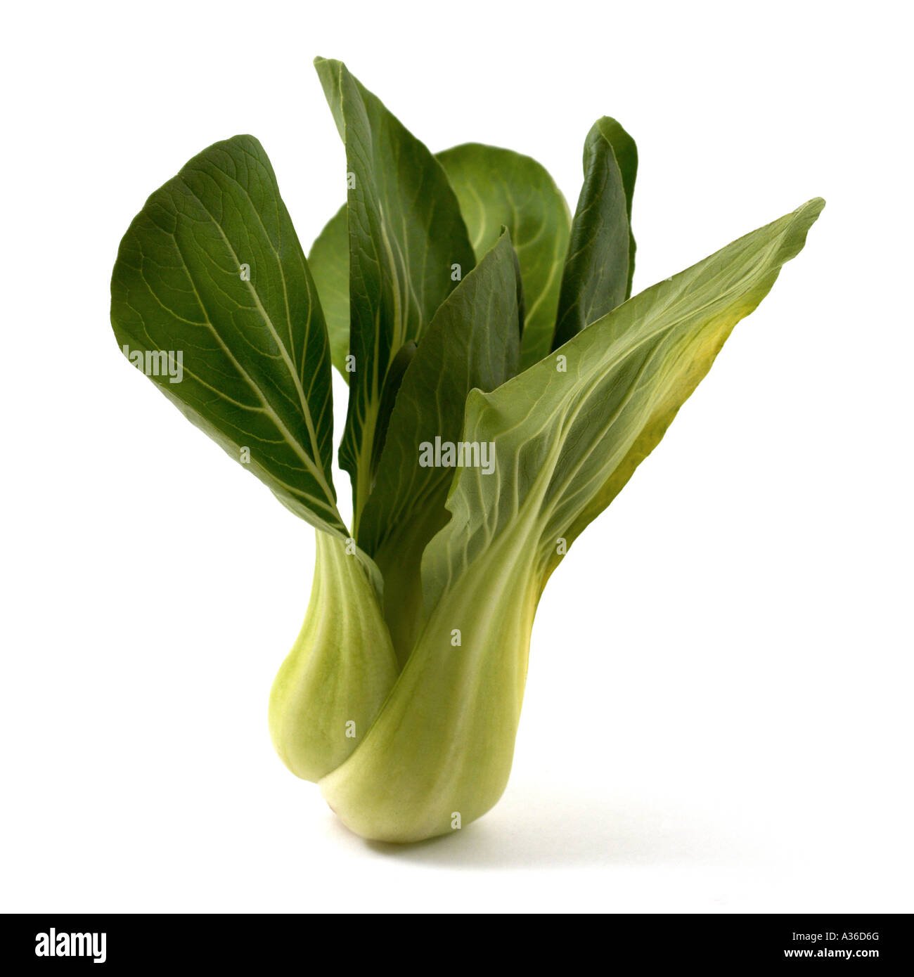 Food pak hi-res stock photography and images - Alamy