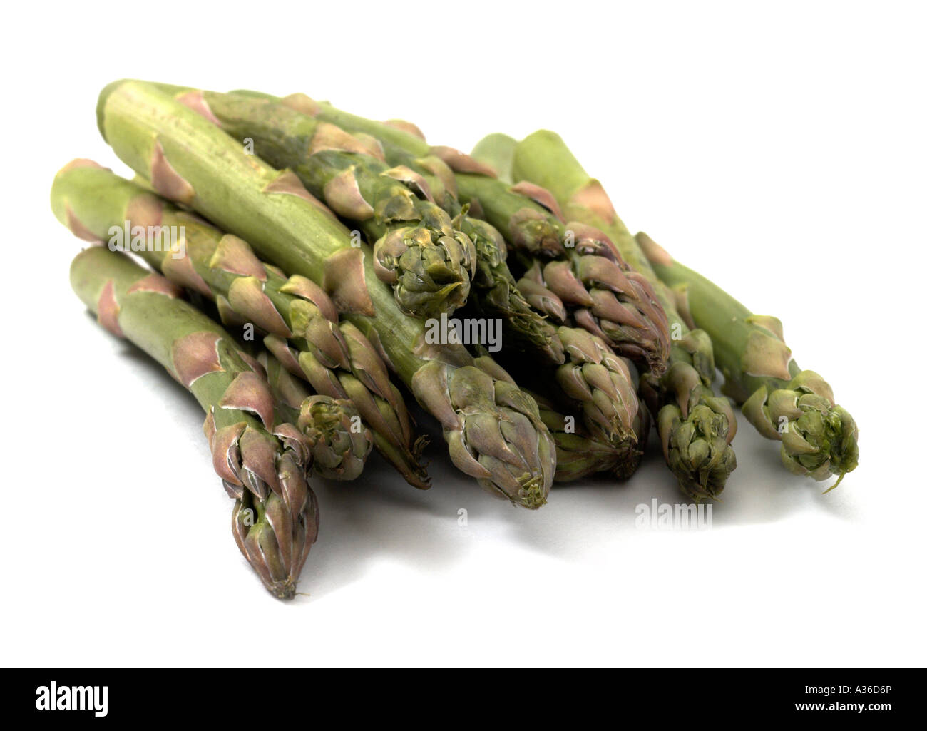 Food tips hi-res stock photography and images - Alamy
