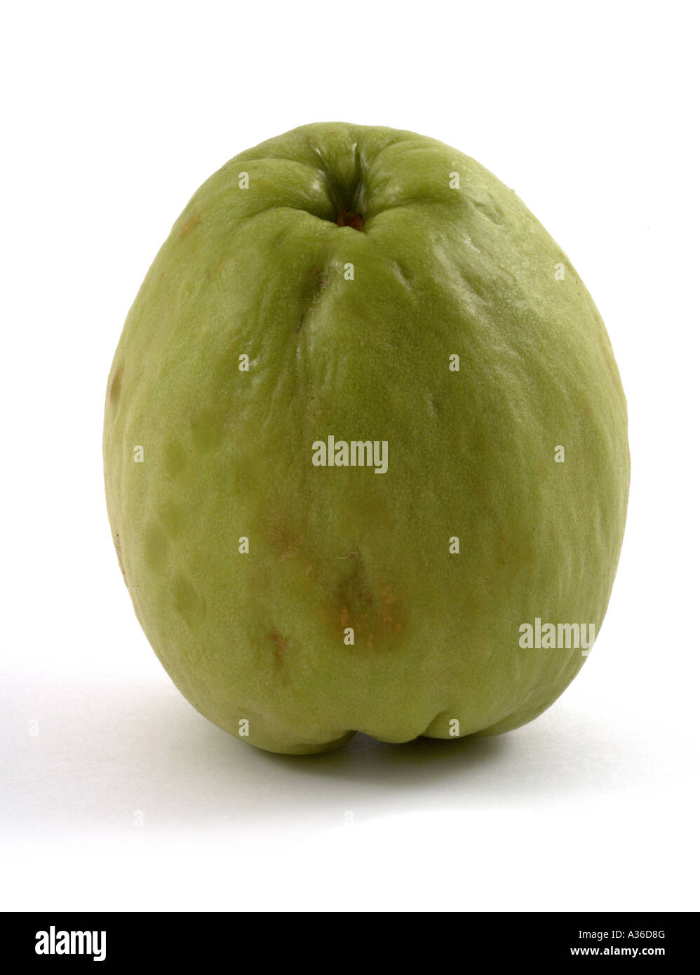 Cho-Cho or Cho Cho vegetable Stock Photo - Alamy