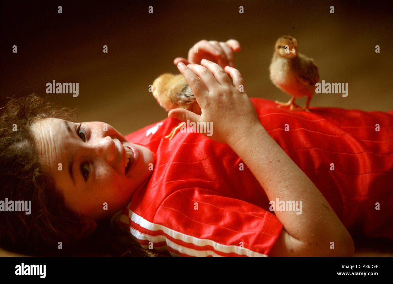 Children baby chicks chickens hi-res stock photography and images - Alamy