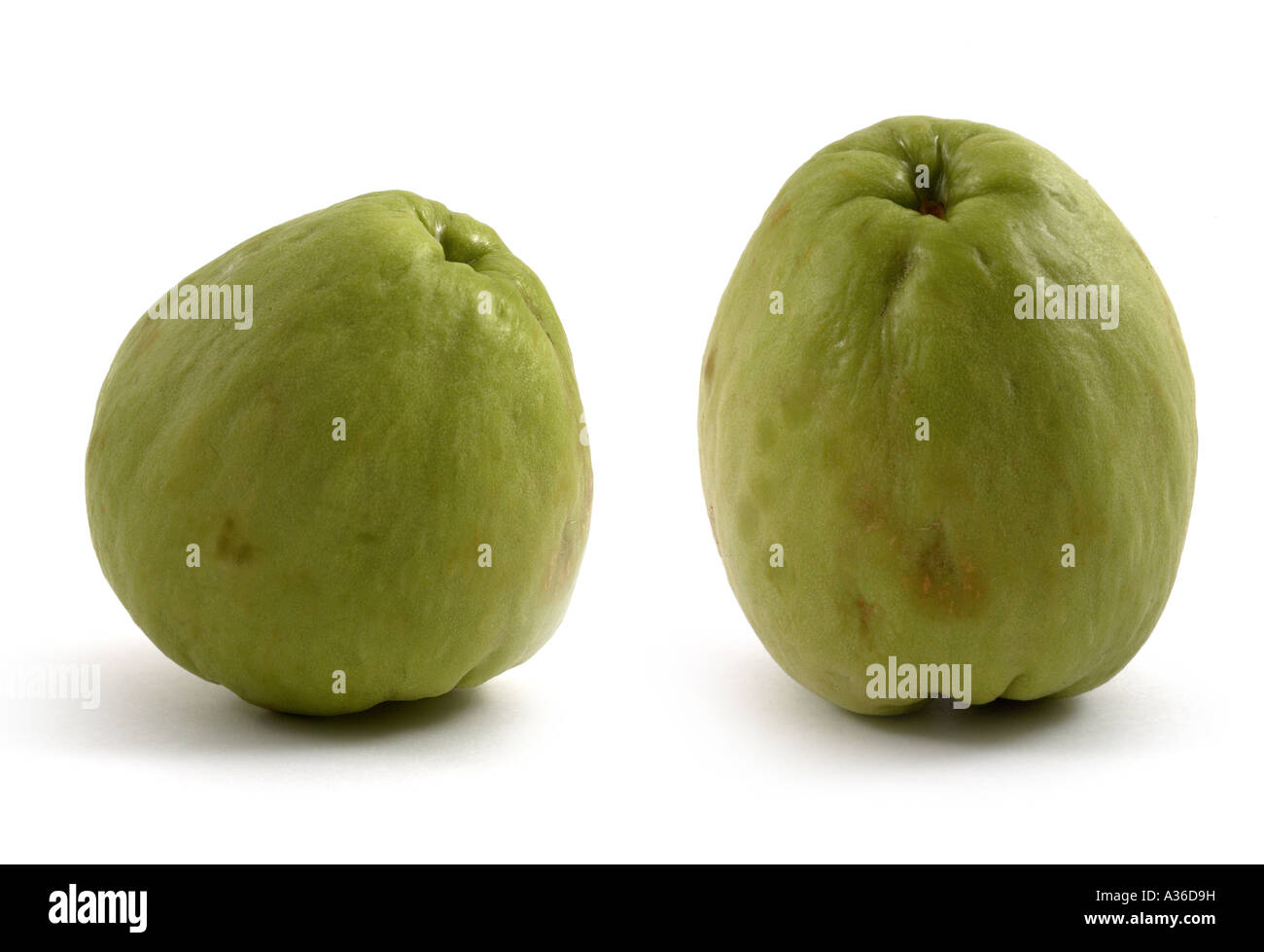 Cho-Cho or Cho Cho vegetable Stock Photo - Alamy