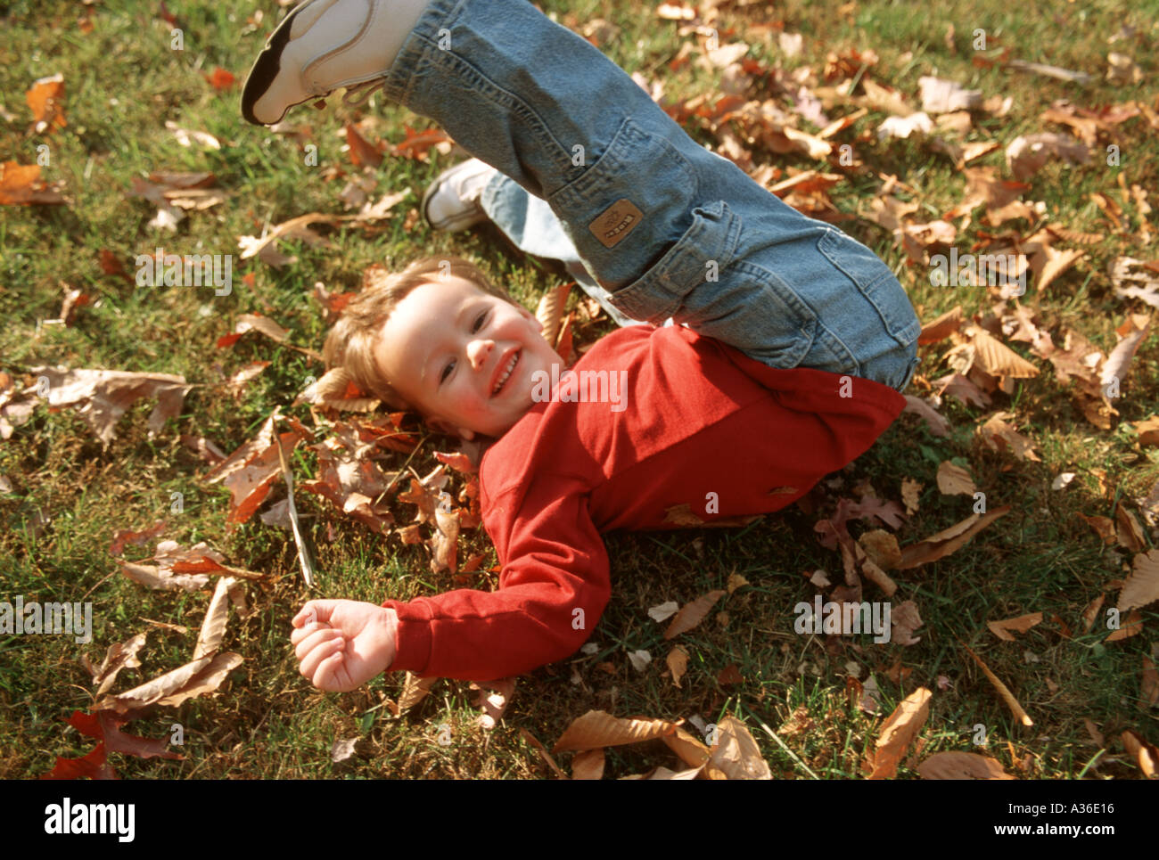 A young boy has fallen playfully onto his back on top of a pile of ...