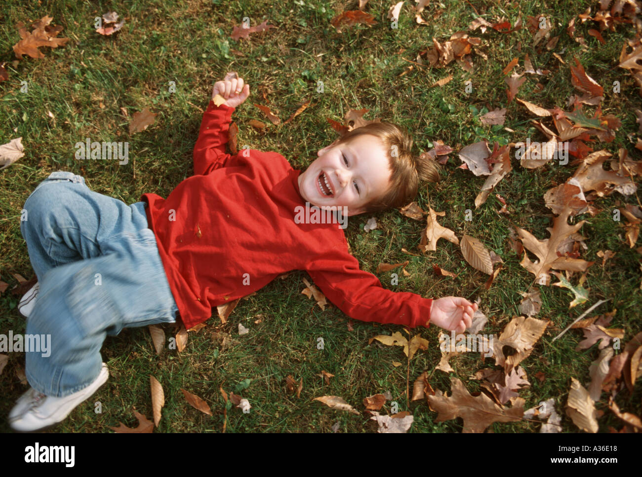 A young boy has fallen playfully onto his back on top of a pile of ...