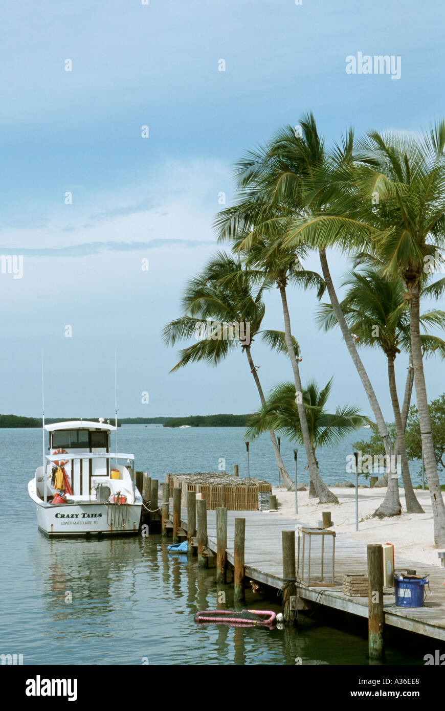 A boat is tied up to a tiny sandy pier lined with palm trees in ...