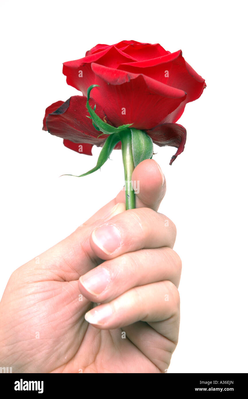 to offer oneself Stock Photo - Alamy