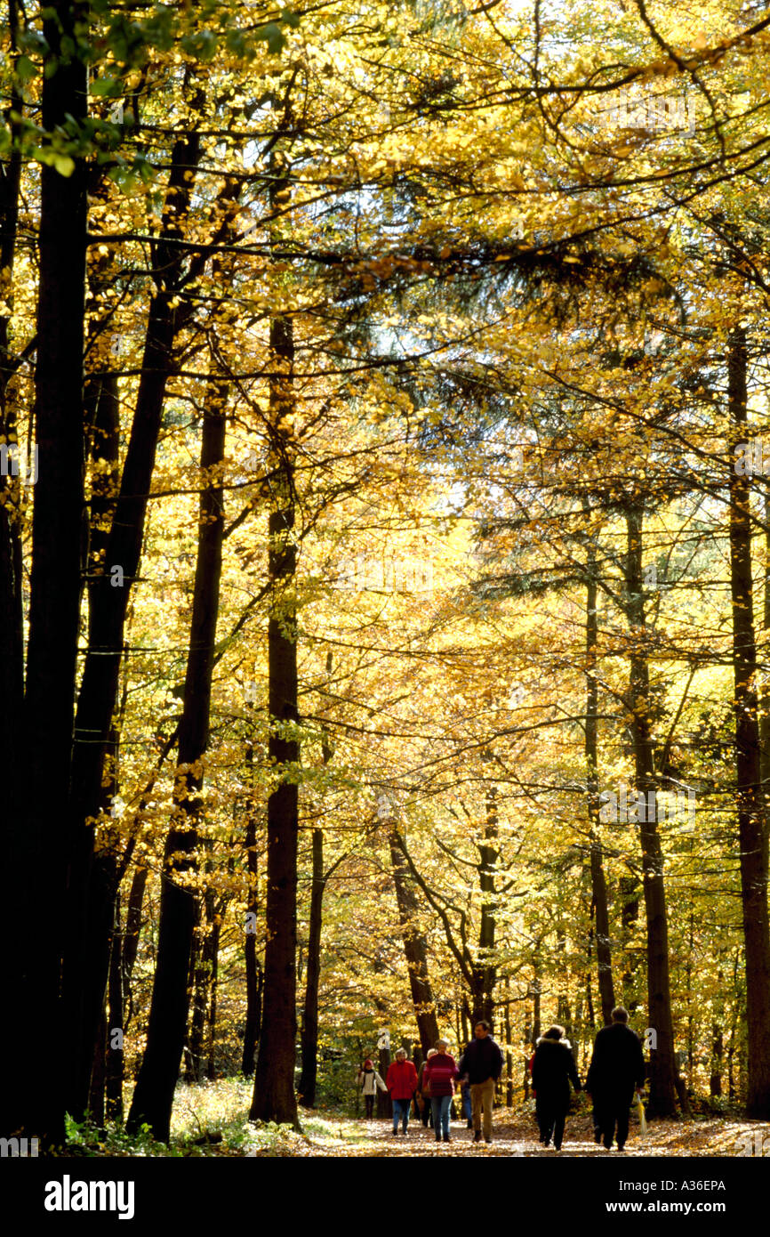 Thueringen trail hi-res stock photography and images - Alamy