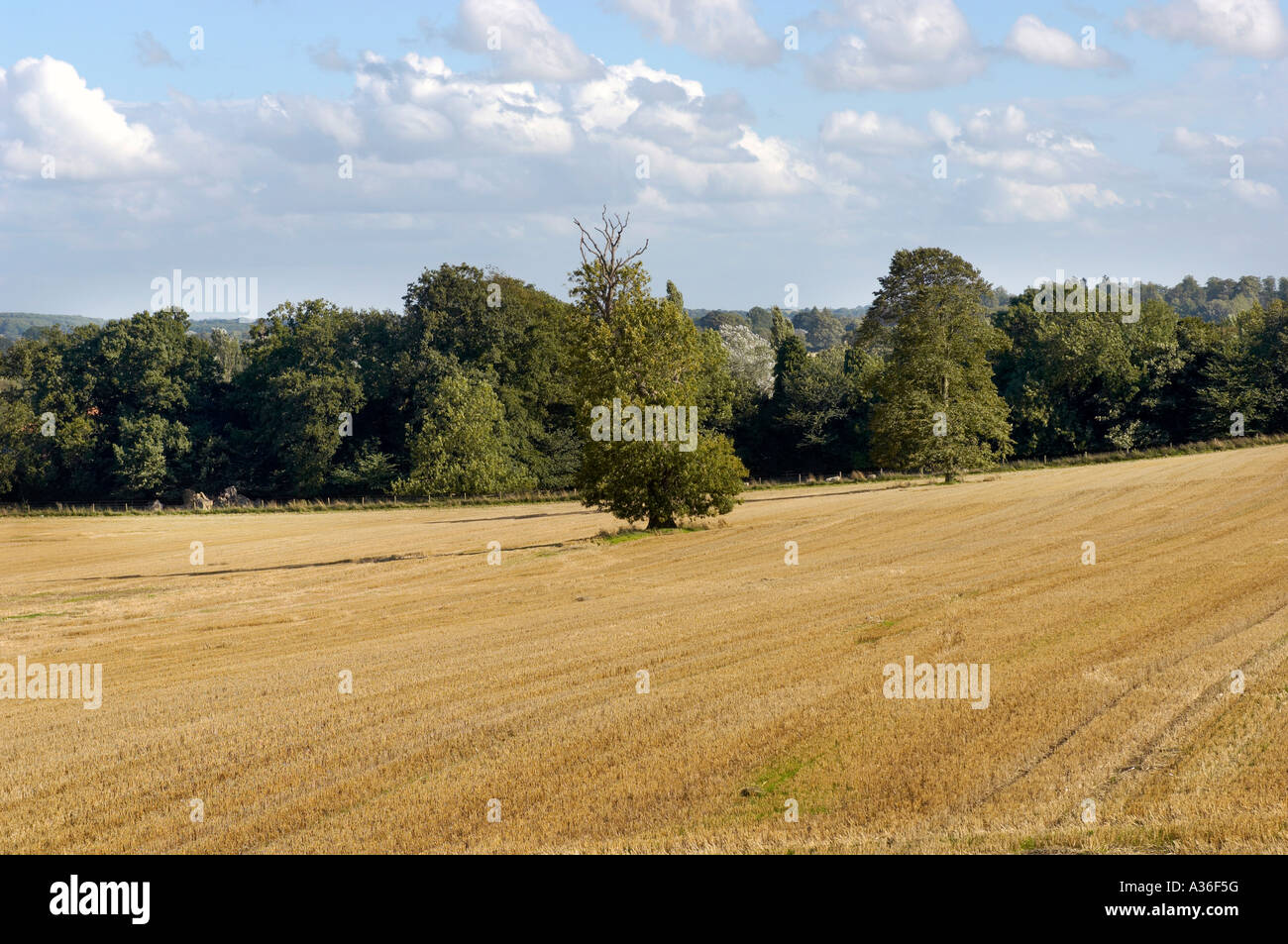 Summer countryside england hi-res stock photography and images - Alamy