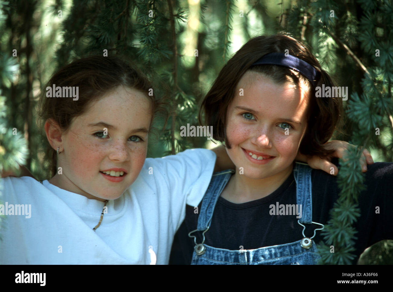 Two girls are smiling at the viewer as they pose with their arms around ...