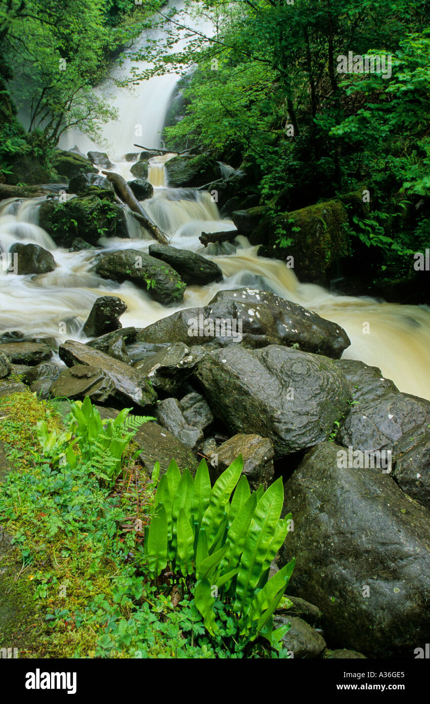 Tork waterfall hi-res stock photography and images - Alamy